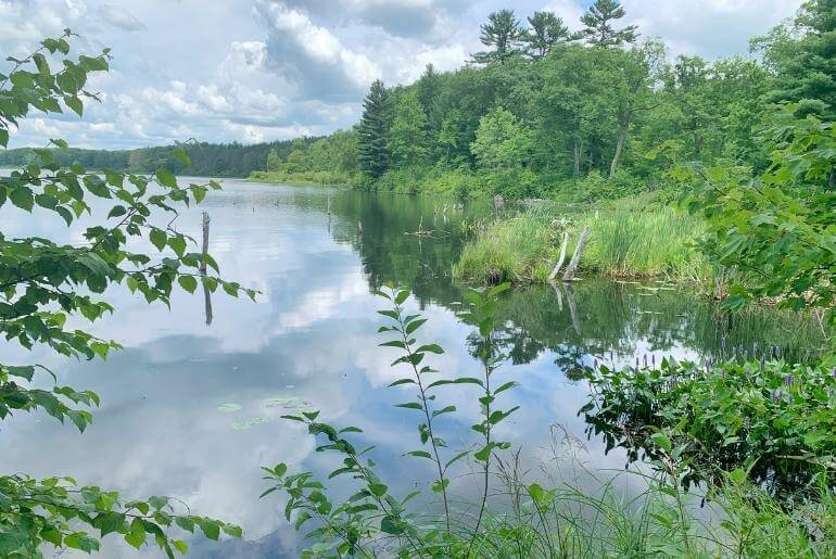 Frederic Wisconsin: The Perfect Weekend Getaway in Wisconsin