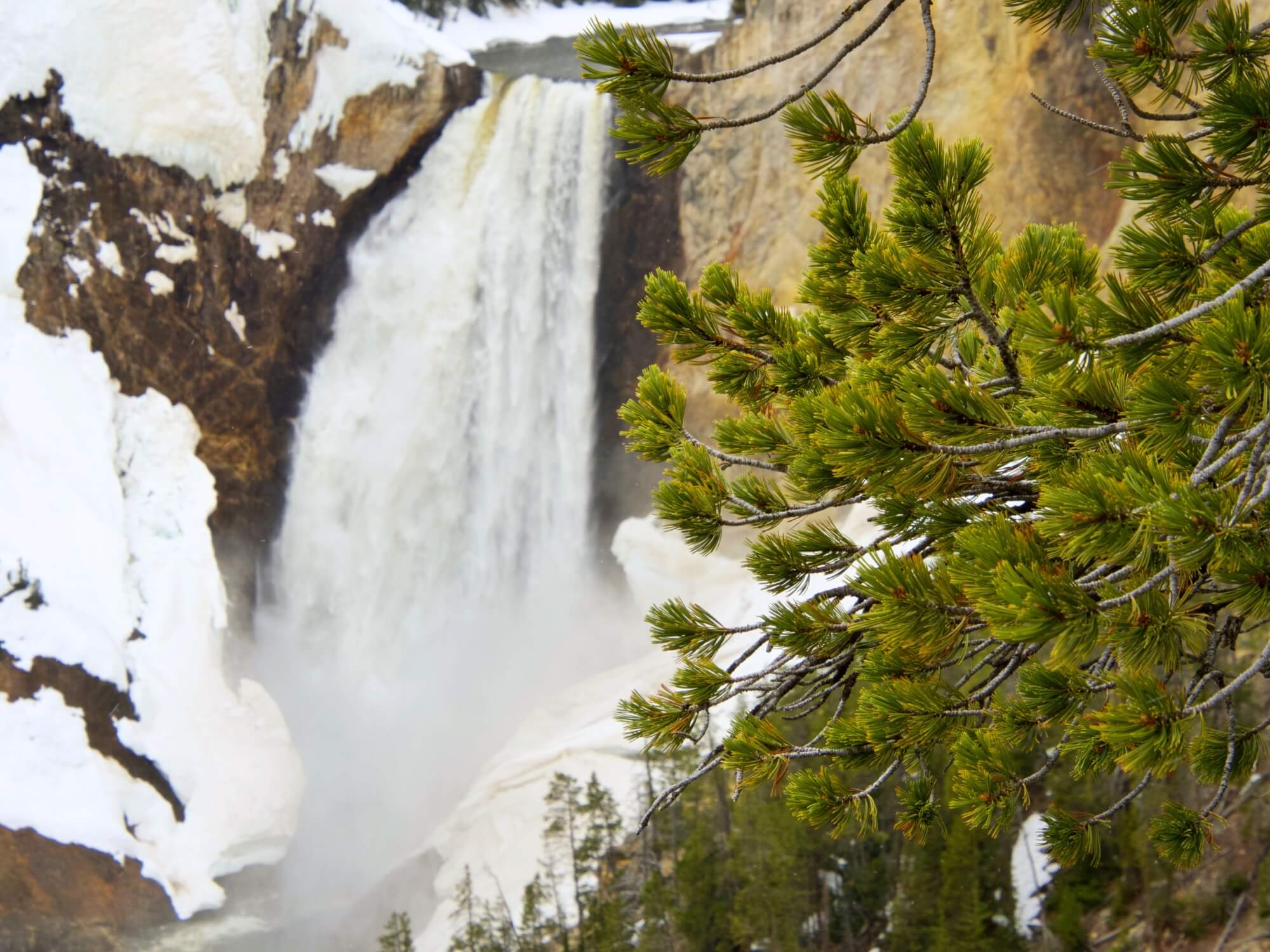 How to Spend One Day in Yellowstone National Park
