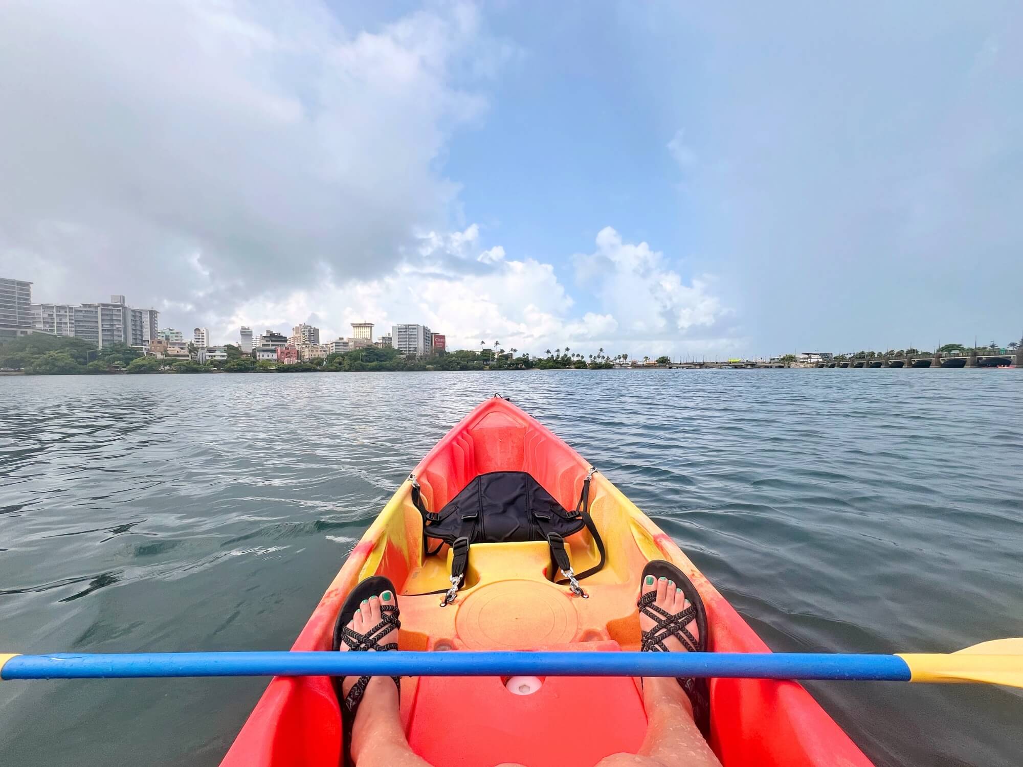 How to Experience Ecotourism in Puerto Rico